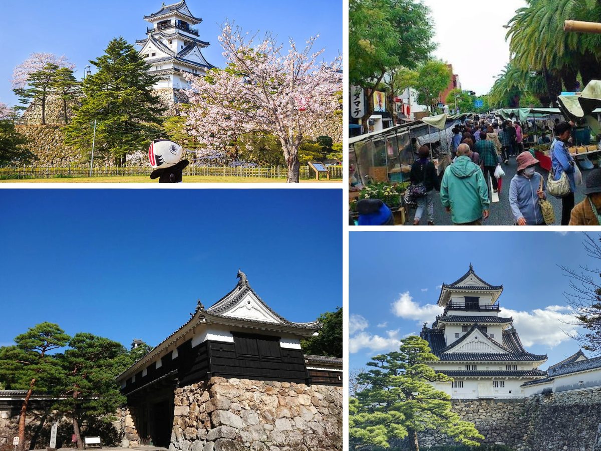 Kochi Castle: A Journey Through History, Culture, and Stunning Views ...